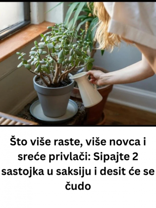 Što više raste, više novca i sreće privlači: Sipajte 2 sastojka u ...
